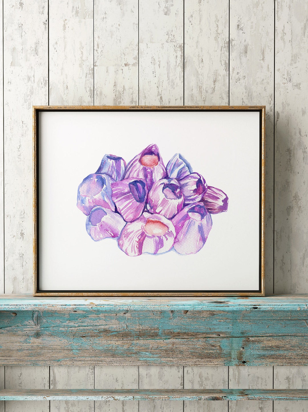 Barnacles Watercolor Print - Etsy