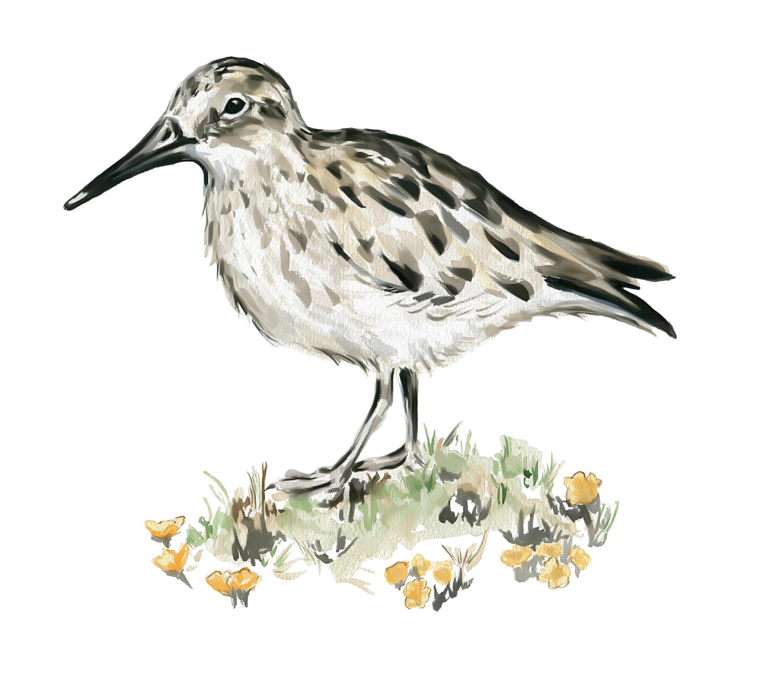Sandpiper and Flowers Watercolor Print | Etsy