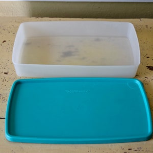 Tupperware Containers With Teal Lids 2002 Bought in Germany Square ...