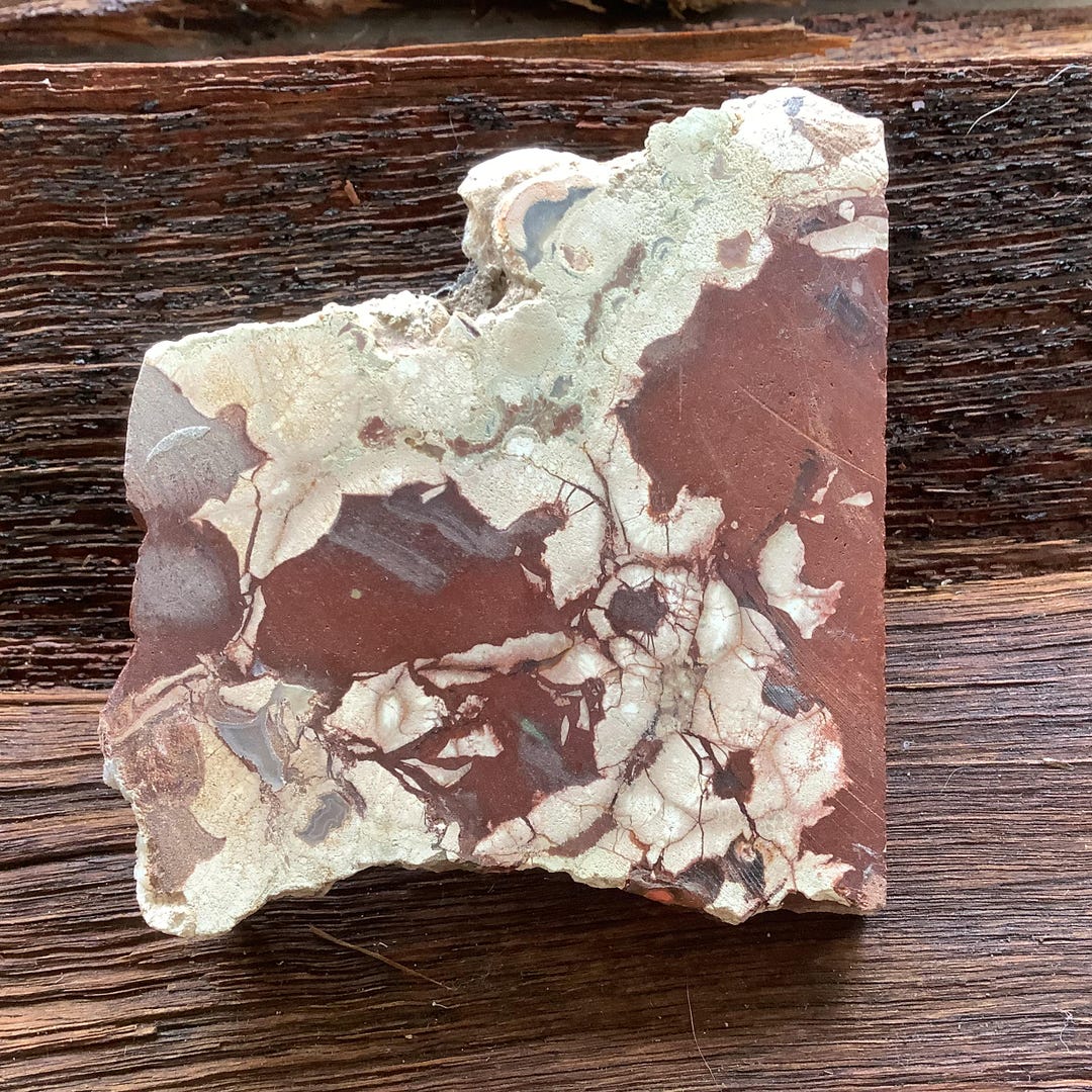 Australian Rhyolite Slab/slice, Rainforest Jasper, Mt Hay - Etsy