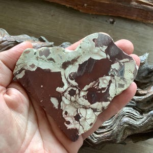 Australian Rhyolite Slab/slice, Rainforest Jasper, Mt Hay - Etsy