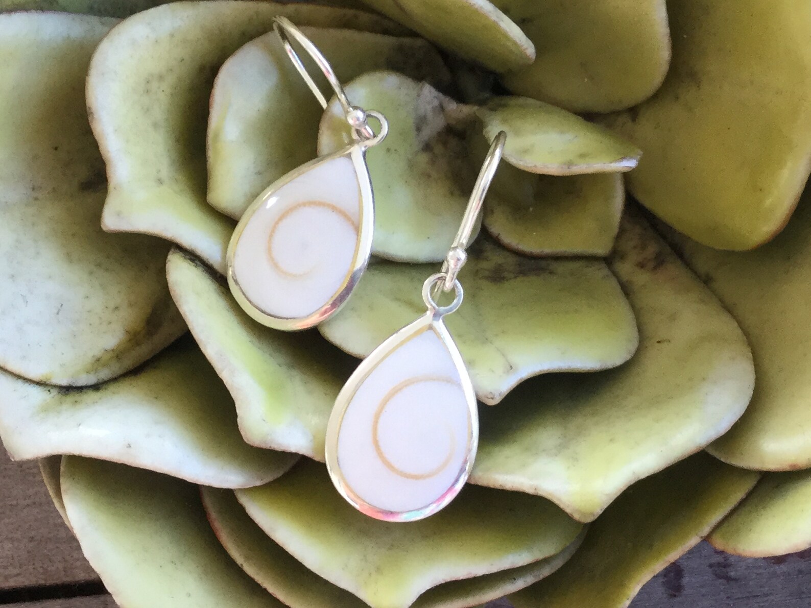 Lovely Shiva Shell mermaids Money Sterling Silver | Etsy