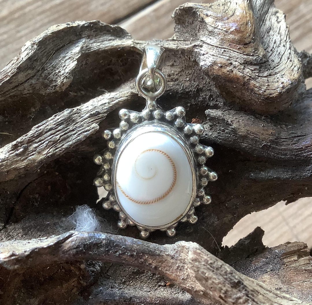 Shiva Shell, Eye of Shiva Sterling Silver Pendant ~ Mermaids Money ...
