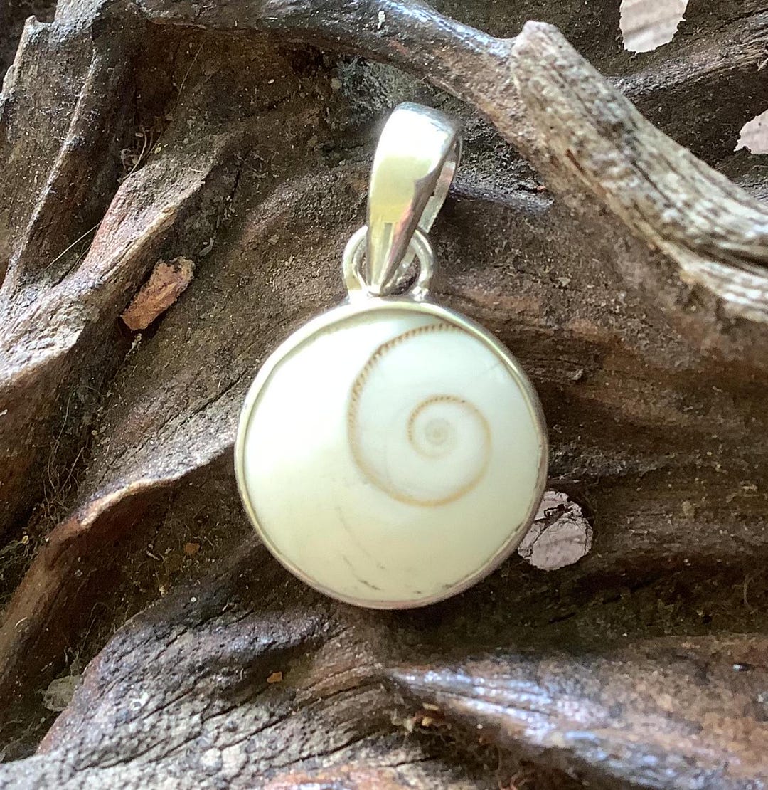 Shiva Shell, Eye of Shiva Sterling Silver Pendant ~ Mermaids Money ...