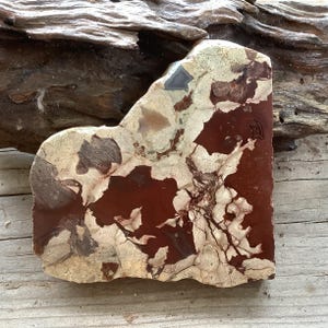 Australian Rhyolite Slab/slice, Rainforest Jasper, Mt Hay - Etsy