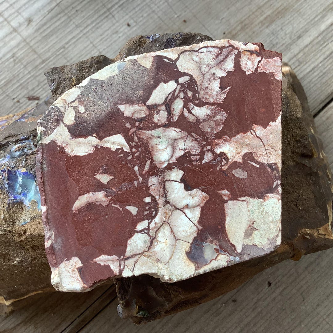 Australian Rhyolite Slab/slice, Rainforest Jasper, Mt Hay - Etsy