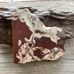 Australian Rhyolite Slab/slice, Rainforest Jasper, Mt Hay - Etsy