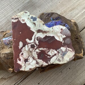 Australian Rhyolite Slab/slice, Rainforest Jasper, Mt Hay - Etsy