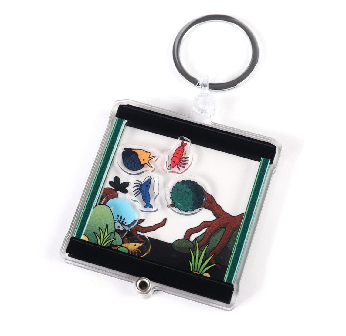 Cherry Shrimp Shaker Keychain | Aquarium Keychain With Customizable ...