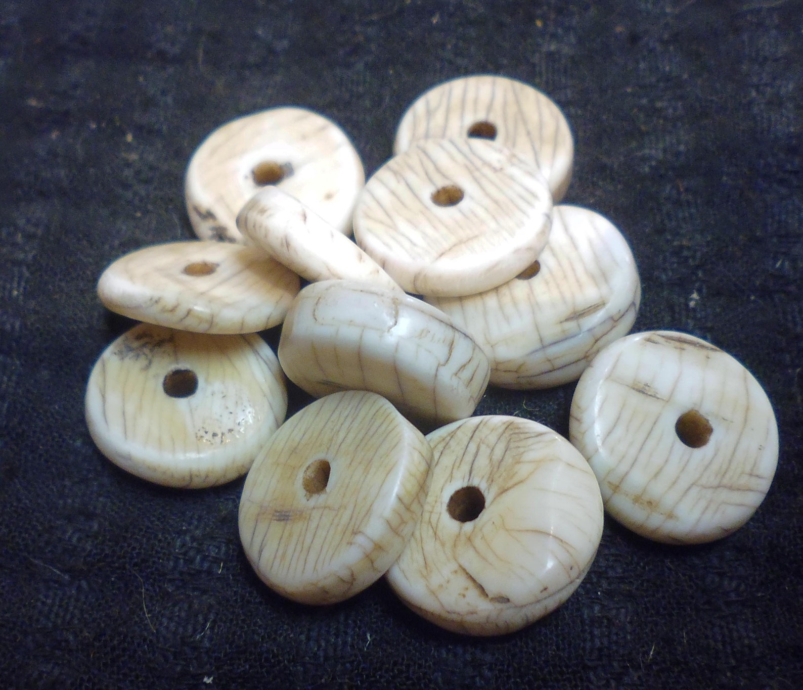 One Old Naga Conch Shell Disc, 5x17mm - Etsy