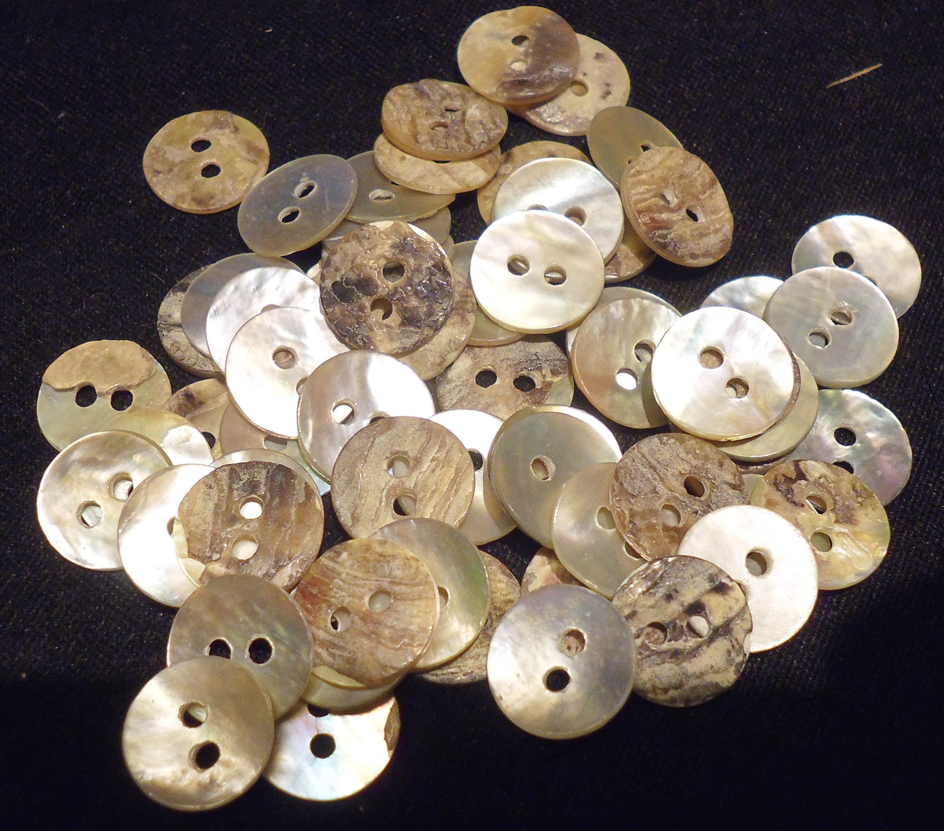 Set of 11 Small Shell Buttons, 10 Mm X 1 Mm (abalone Small) - Etsy