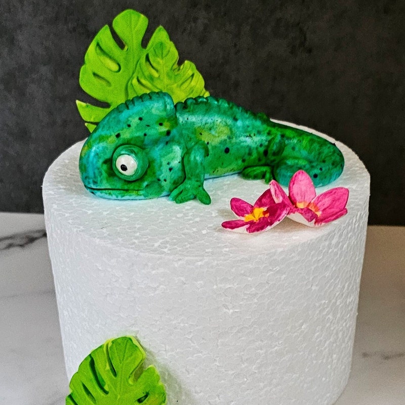 FancySugaronTop - Etsy