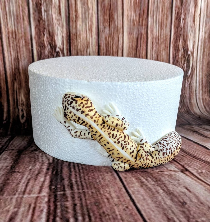 Fondant Gecko Lizard Reptile Cake Topper - Etsy