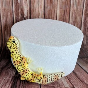 Fondant Gecko Lizard Reptile Cake Topper - Etsy