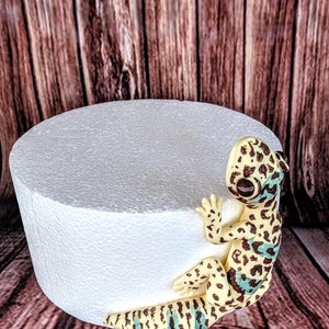 Fondant Gecko Lizard Reptile Cake Topper - Etsy
