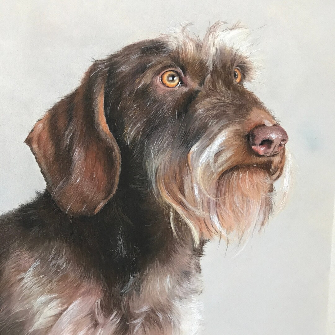 Pet Portrait, Custom Portrait in Pastels, Original Personalised Pastel ...