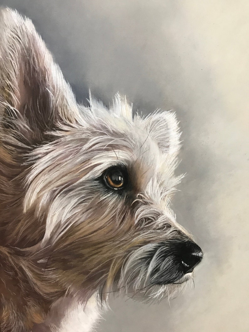 Custom Pet Pastel Portrait Original Drawing From Photo A4 | Etsy