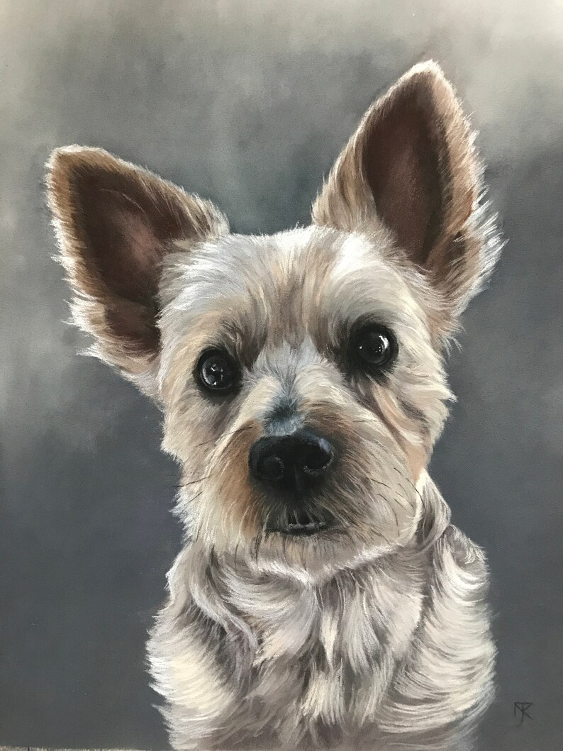 Custom Pet Pastel Portrait, Original Drawing From Photo - Etsy