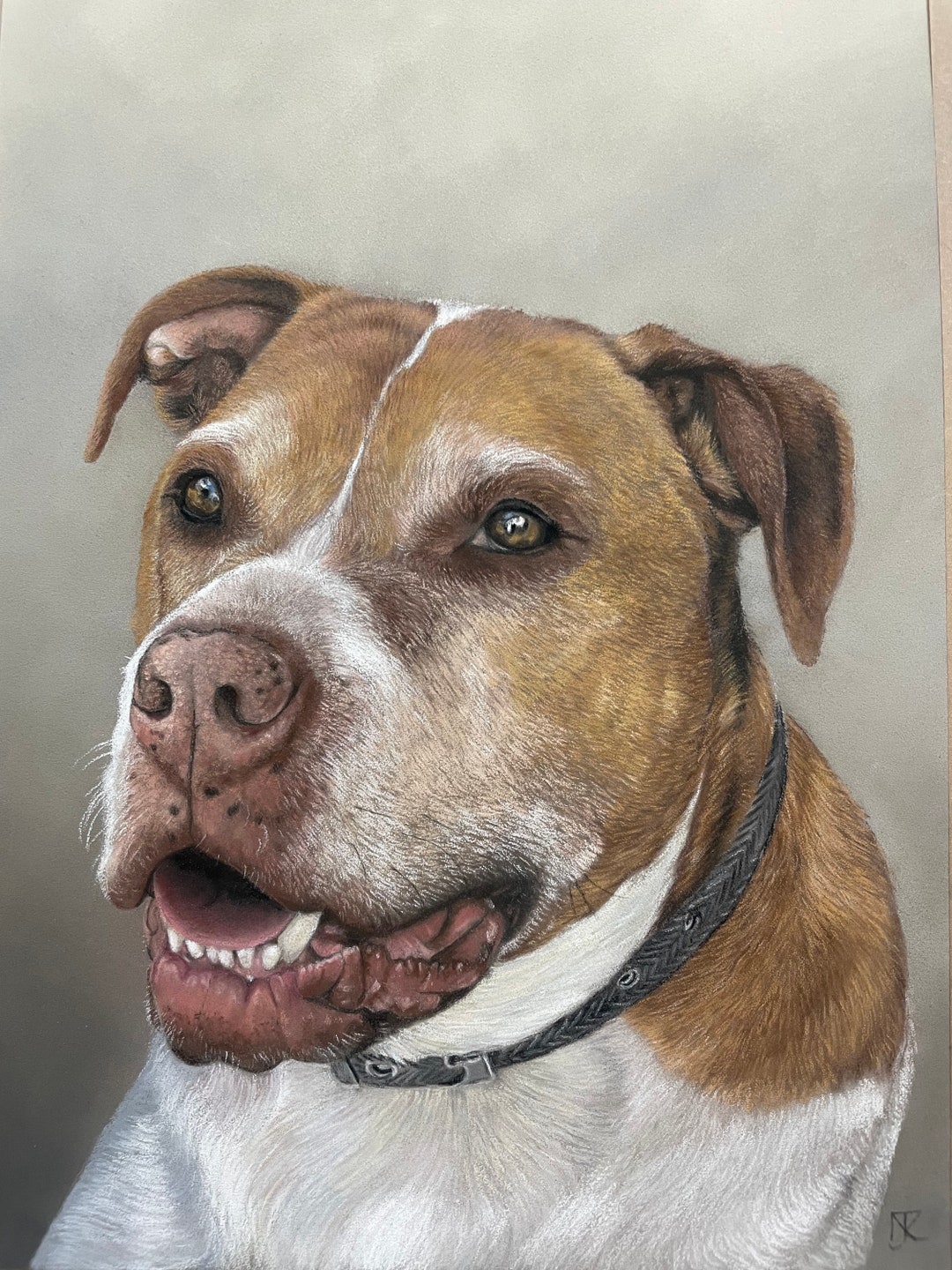 Custom Pet Portrait in Pastel, Realistic Drawing From Photo - Etsy
