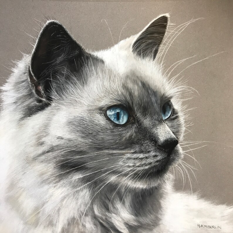 Custom Pet Pastel Portrait Original Drawing From Photo - Etsy