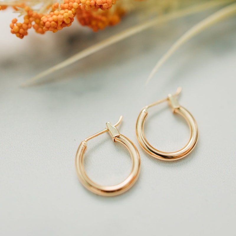 Small Gold Hoop Earrings - Etsy
