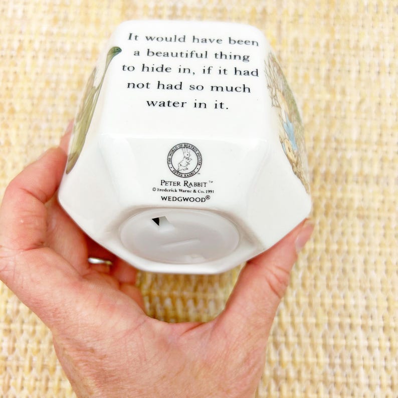 Wedgwood Beatrix Potter Peter Rabbit Hexagonal Bank Money Box | Nursery ...