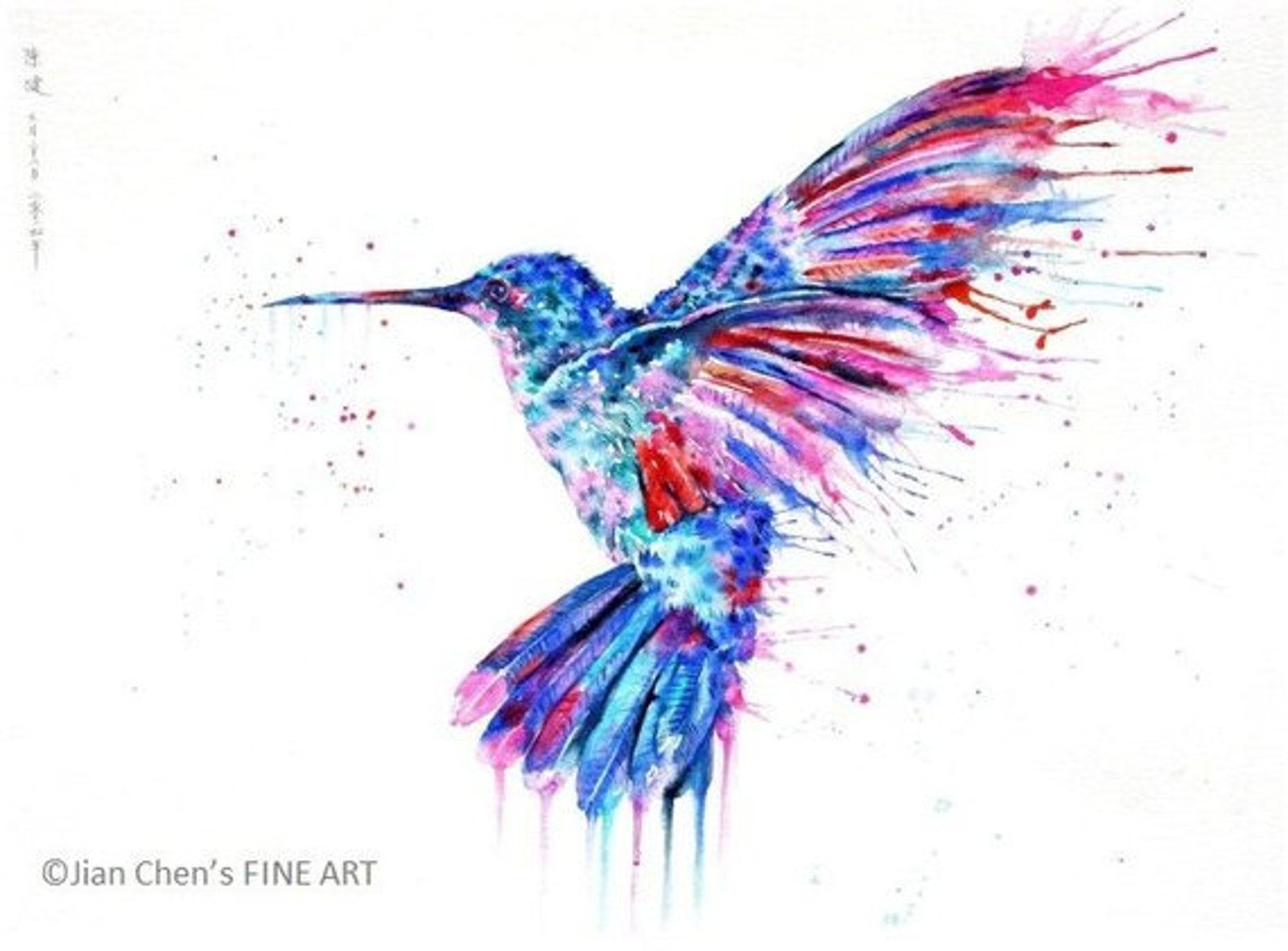 Hummingbird 10 Different Sizes to Choose From All FREE - Etsy UK