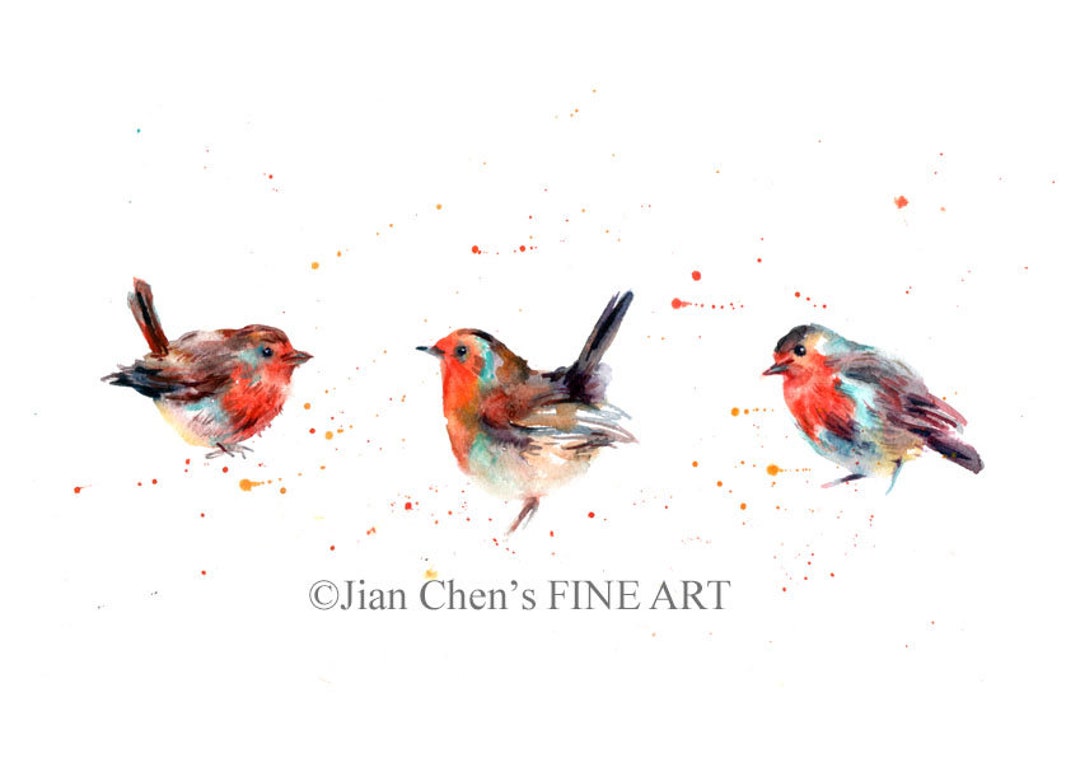 3 Robins 10 Different Sizes to Choose From, All FREE SHIPPING in UK - Etsy