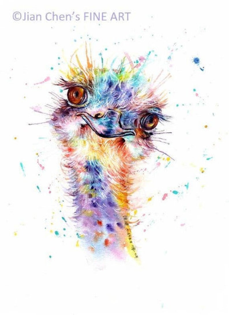 Rainbow Ostrich 10 Different Sizes to Choose From All FREE - Etsy