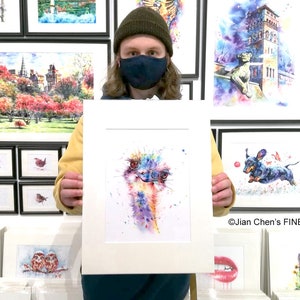 Rainbow Ostrich (10 Different Sizes to Choose From, All FREE SHIPPING ...