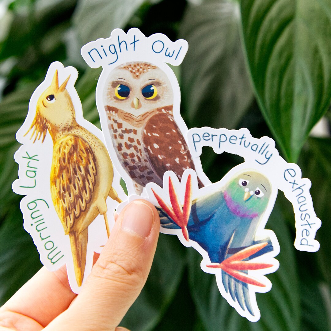 Bird Matte Vinyl Stickers Night Owl Sticker Morning Lark Sticker ...