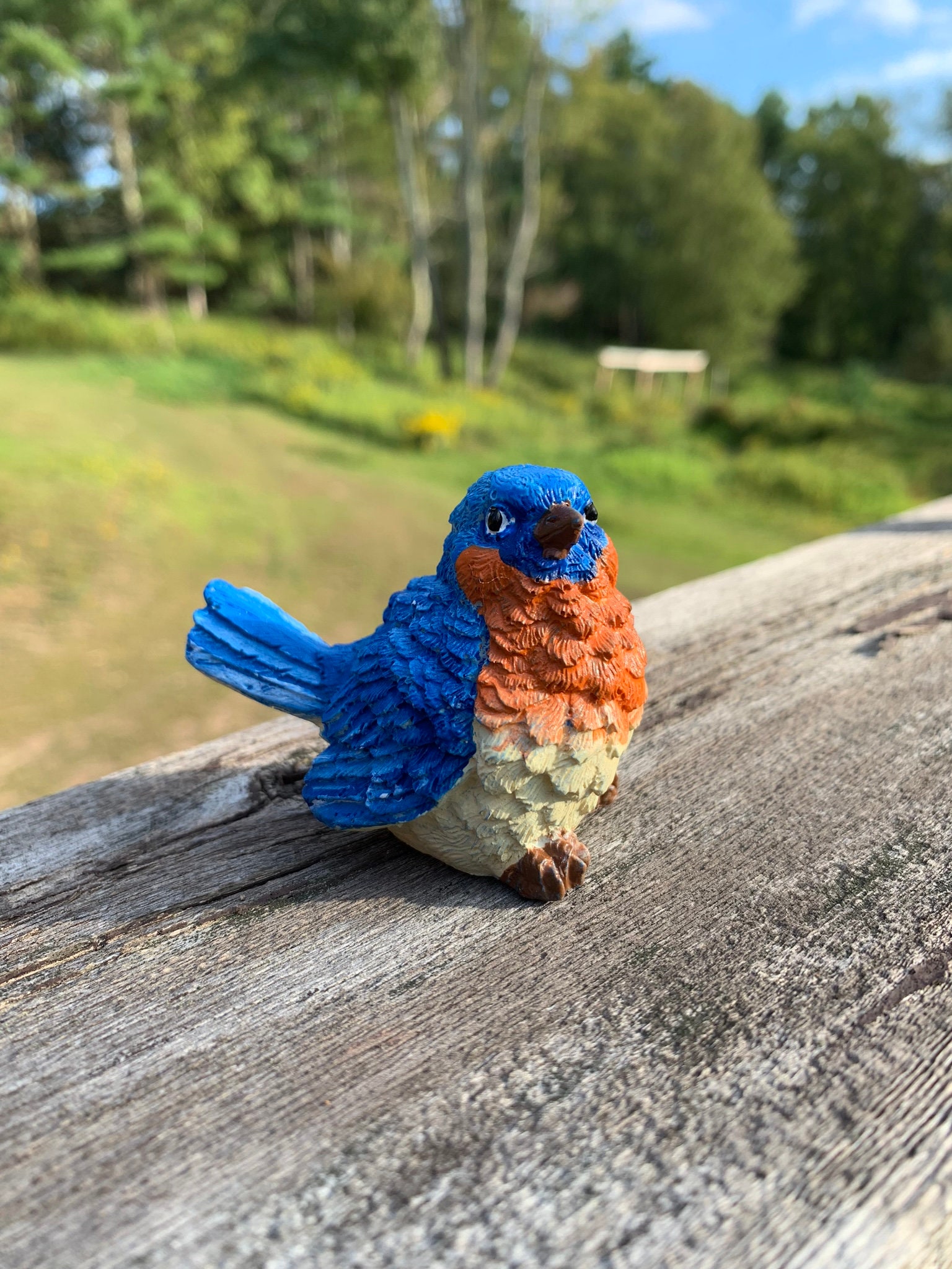 Bluebird Figurine Miniature Woodland Creatures from Folklore | Etsy