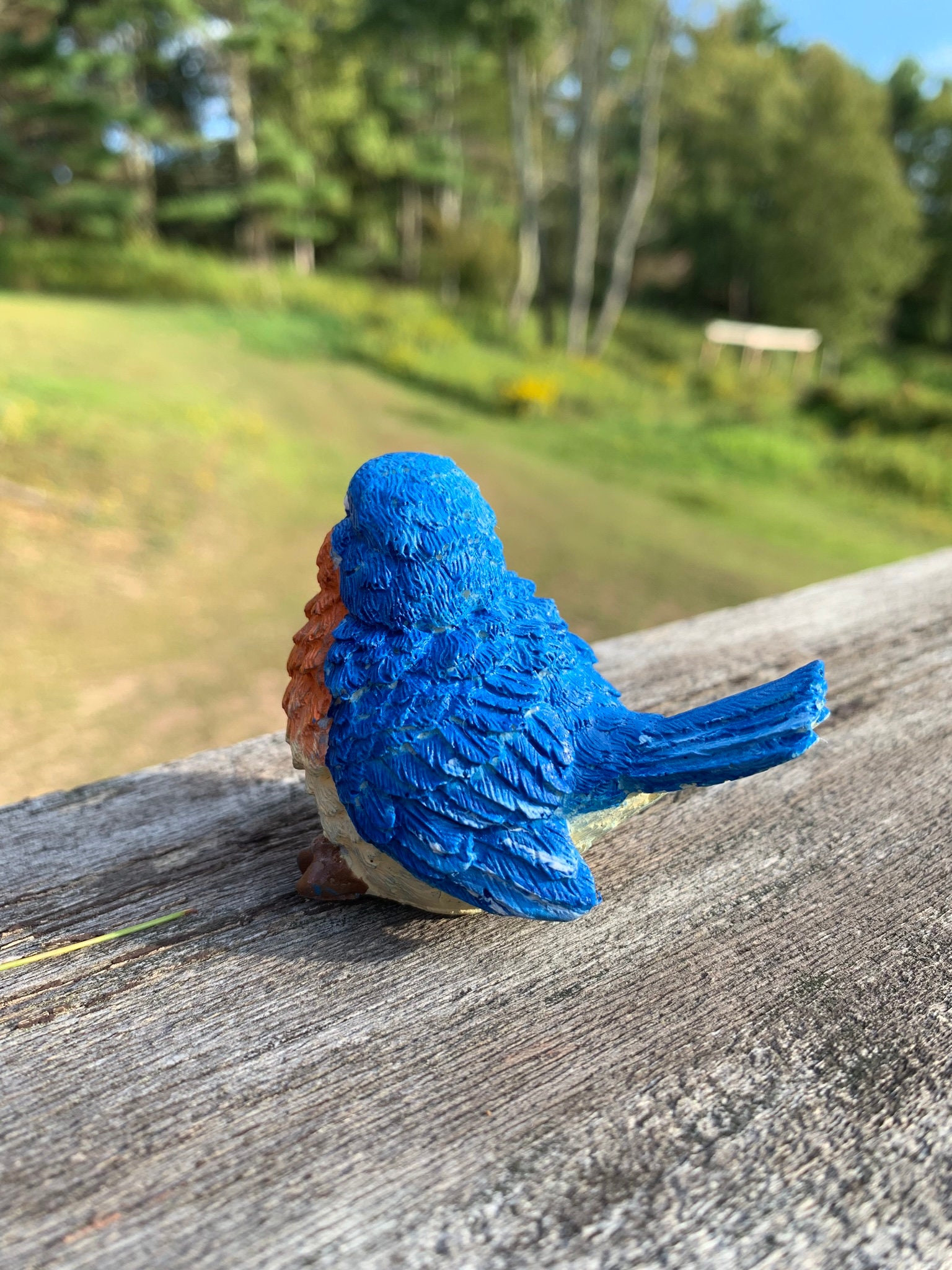 Bluebird Figurine Miniature Woodland Creatures From Folklore - Etsy India