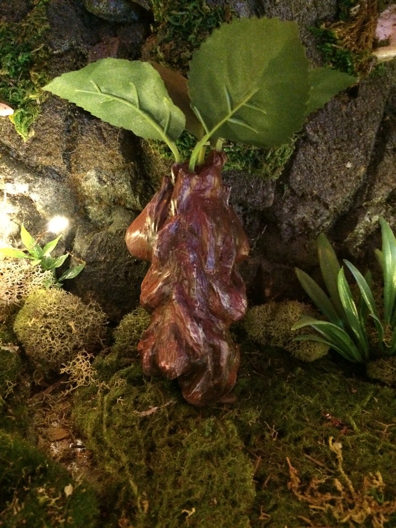 Mandrake plant - kizawinner