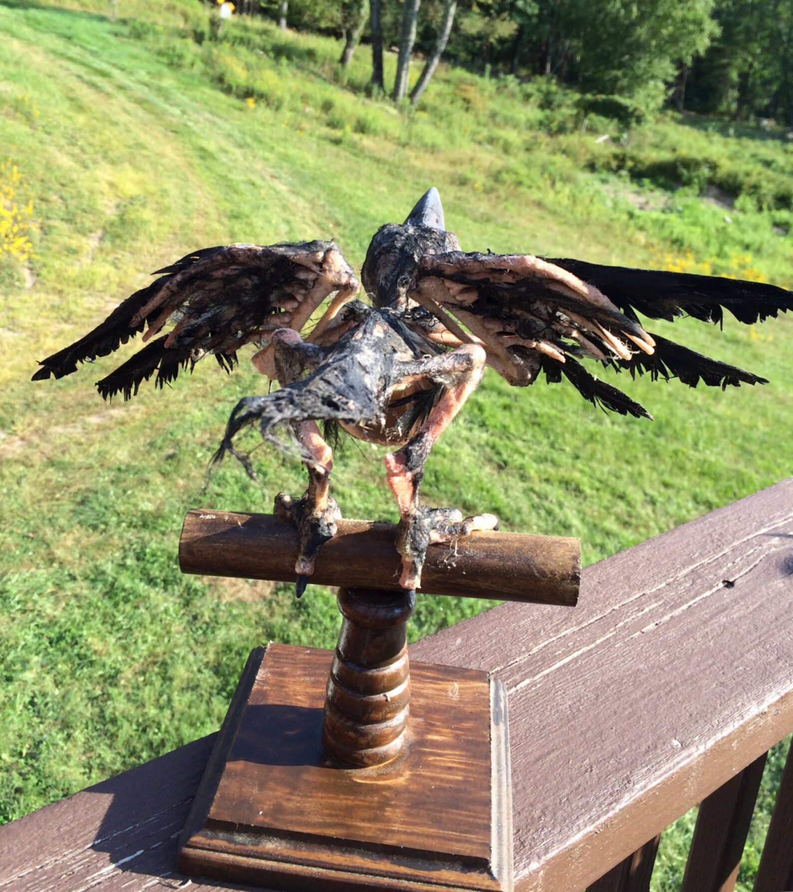 Raven Skeleton Prop on A Rustic Wooden Perch - Etsy