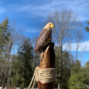 Red-tailed Hawk Walking Stick Made From Spiral Carved Poplar Wood ...