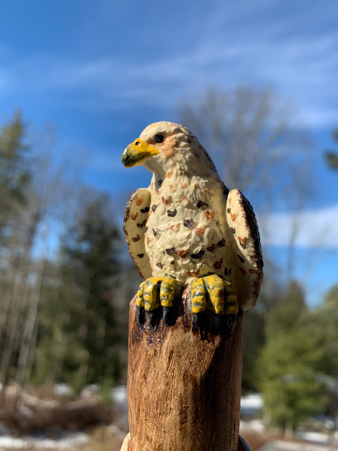 Handmade Red-tailed Hawk Walking Stick: Spiral Carved Poplar Wood - Etsy