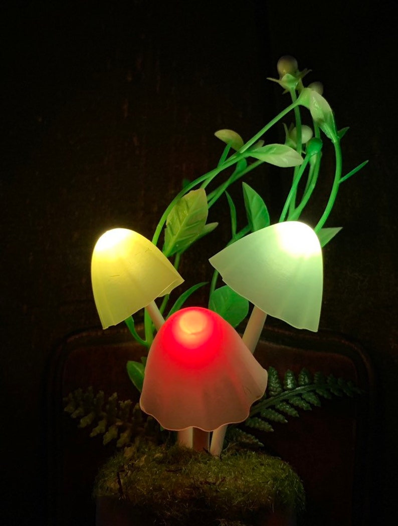 Magical Mushroom LED Night Light Color Changing Portable - Etsy
