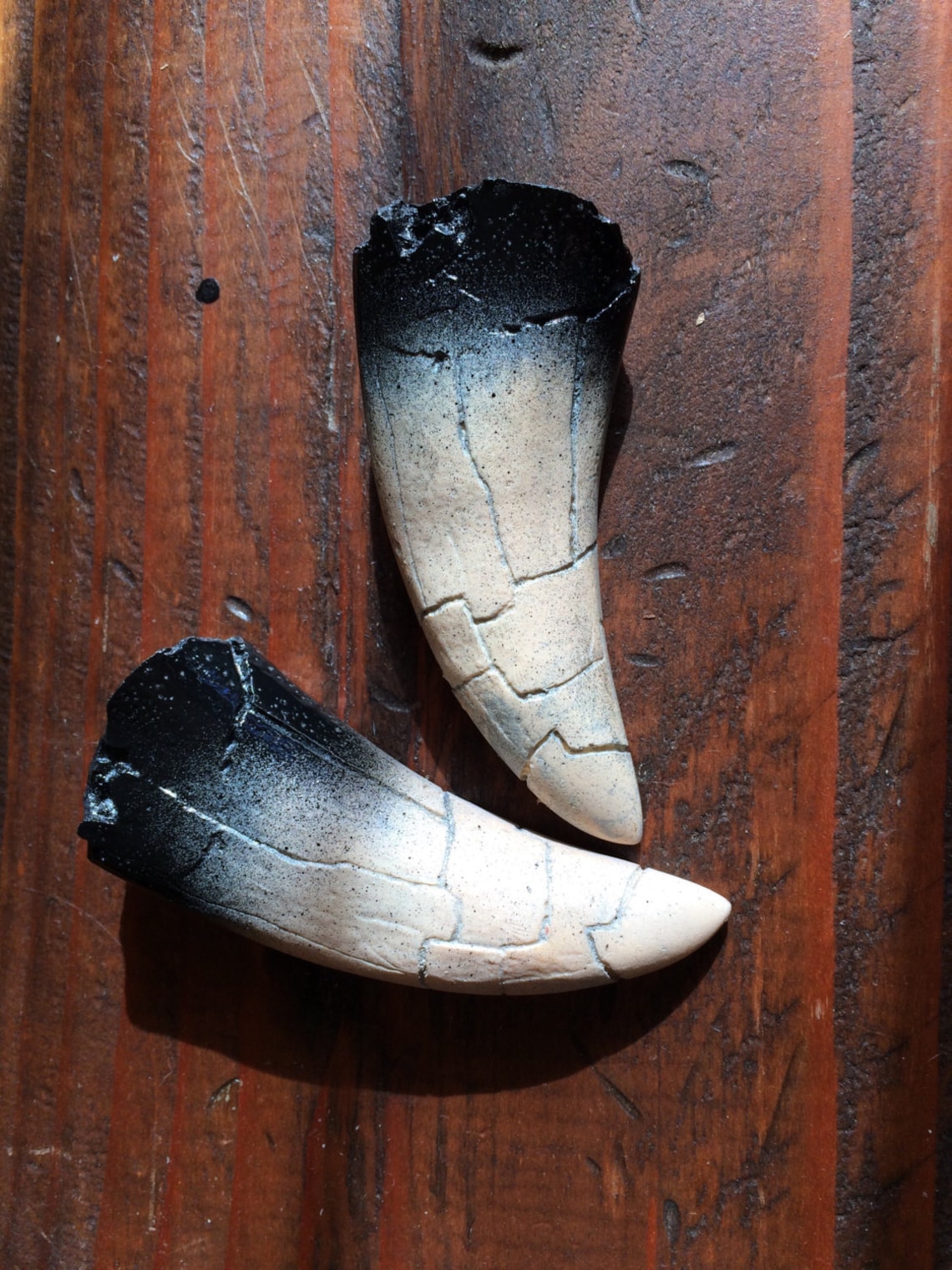 Full Size Dragon Tooth Collected From A Live Dragon - Etsy