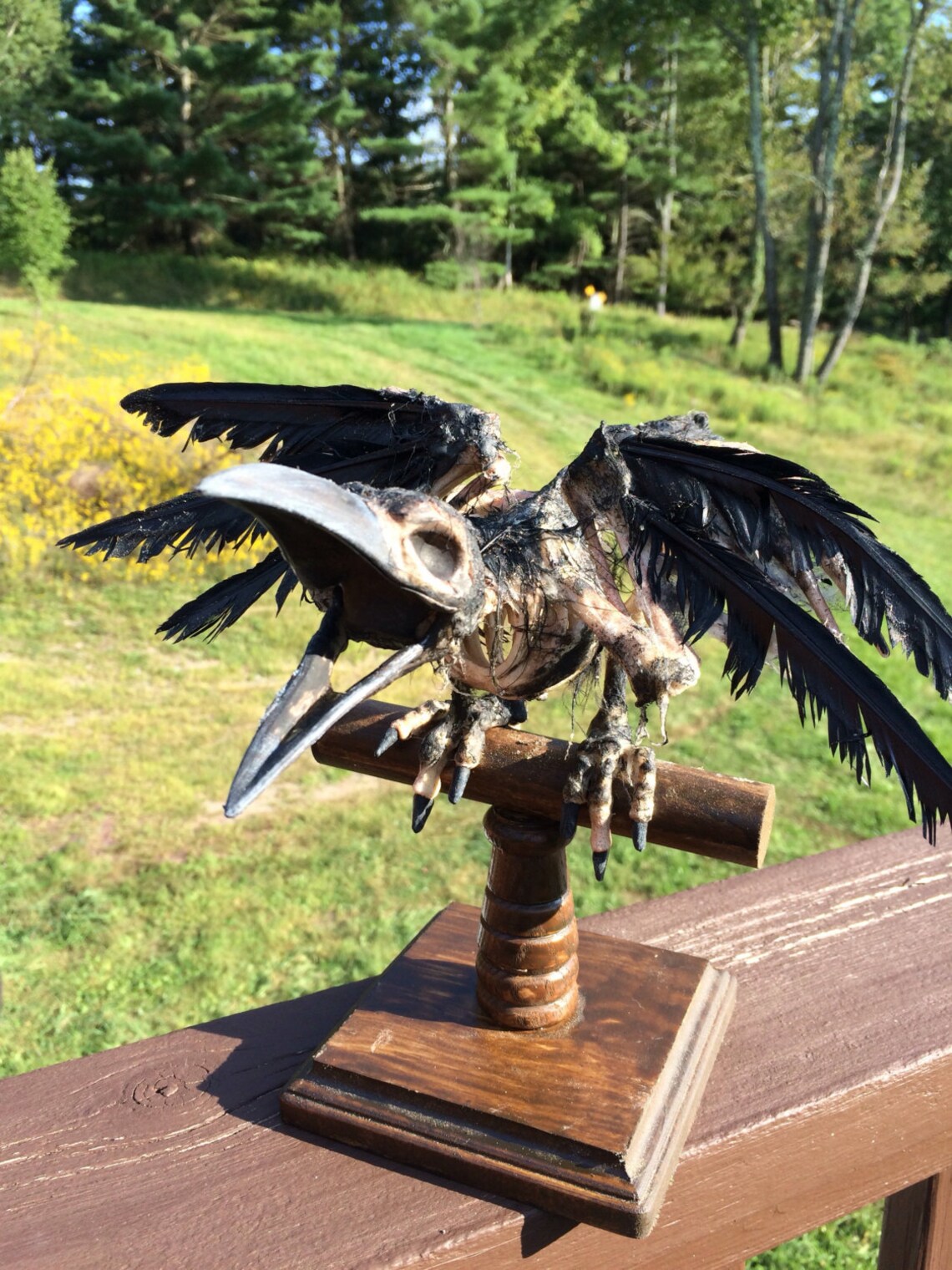 Raven Skeleton Prop on A Rustic Wooden Perch - Etsy