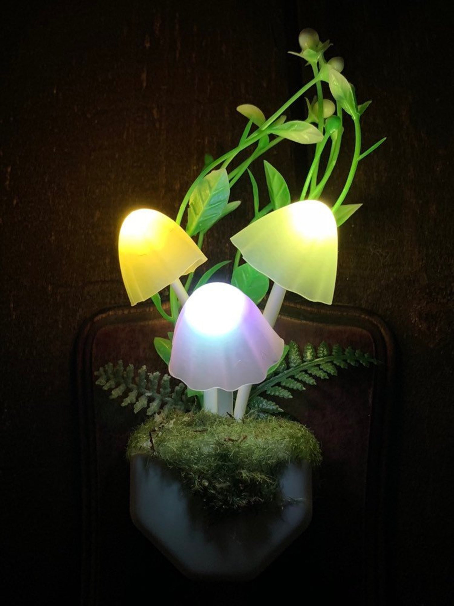 Magical Mushroom LED Night Light Color Changing Portable - Etsy