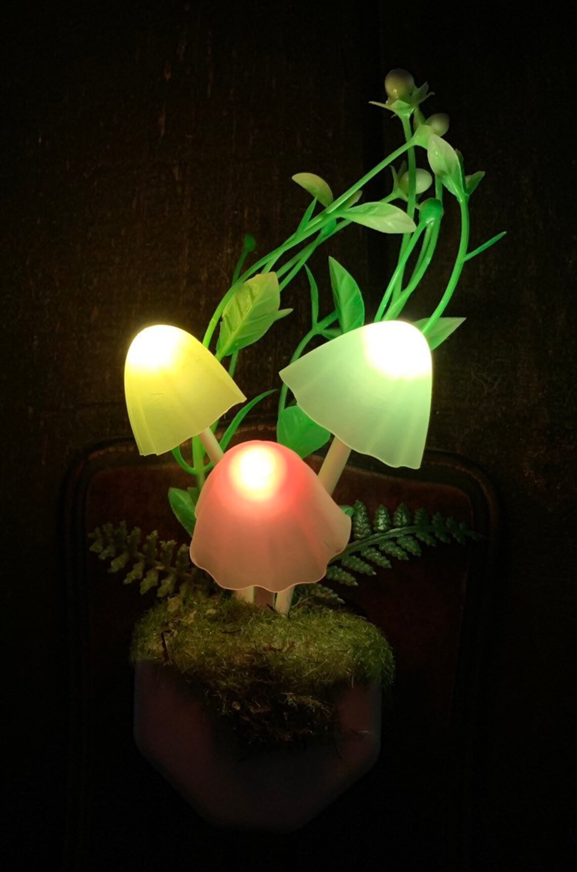 Magical Mushroom LED Night Light Color Changing Portable - Etsy