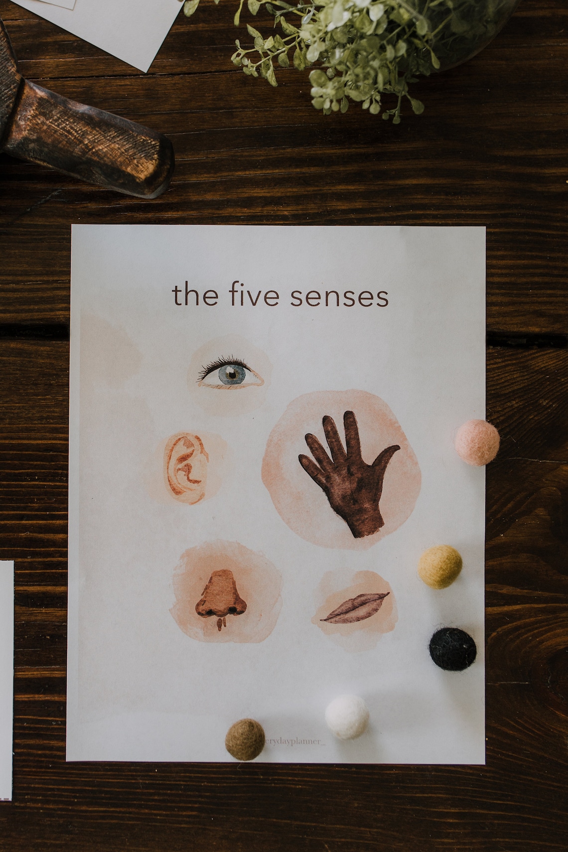 The Five Senses // Learning + Activity Bundle - Etsy