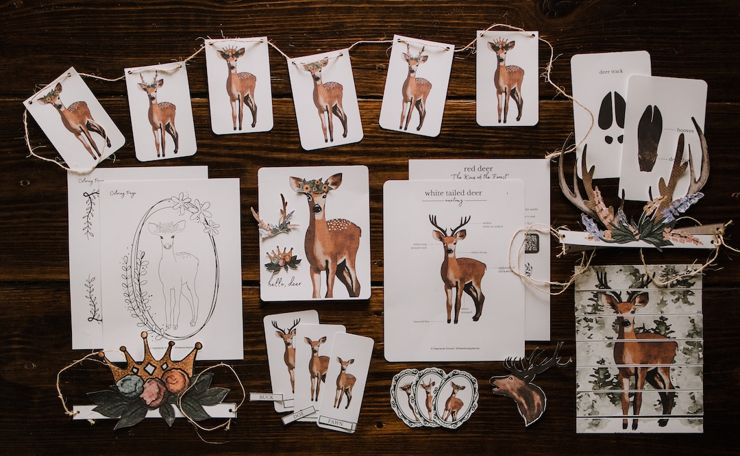 Oh Deer! A Learning + Activity Packet - Etsy