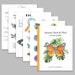 Sensory Seek & Find Activity Bundle // Insects - Etsy