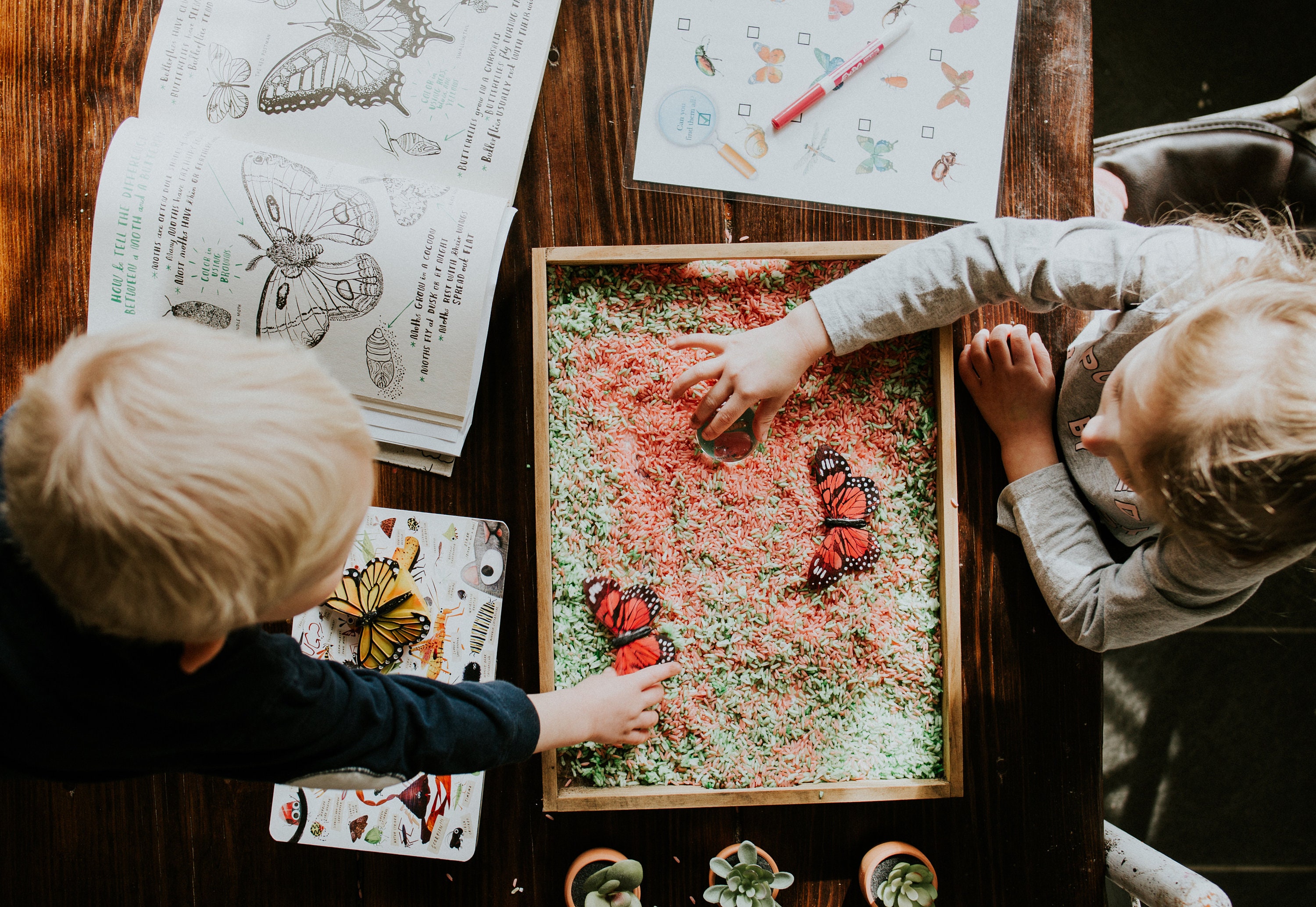 Sensory Seek & Find Activity Bundle // Insects | Etsy