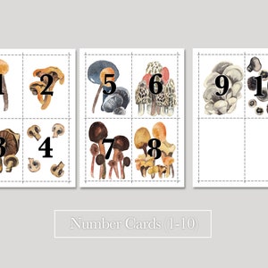 Mushroom Number Flash Cards // Digital Download - Etsy Canada