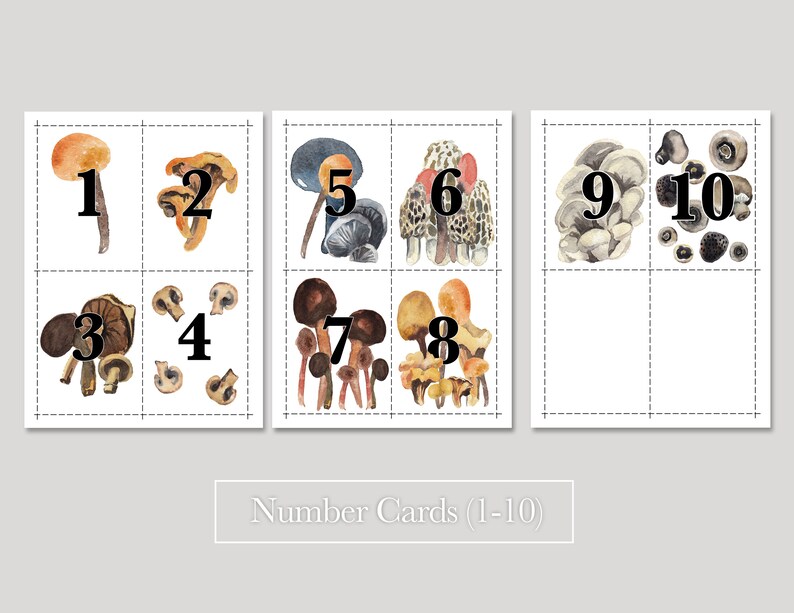 Mushroom Number Flash Cards // Digital Download - Etsy