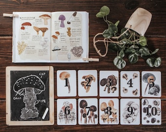 Mushroom Number Cards 1-10 - Preschool Nature Math - Etsy