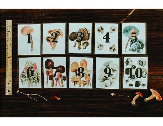 Mushroom Number Flash Cards // Digital Download | Etsy